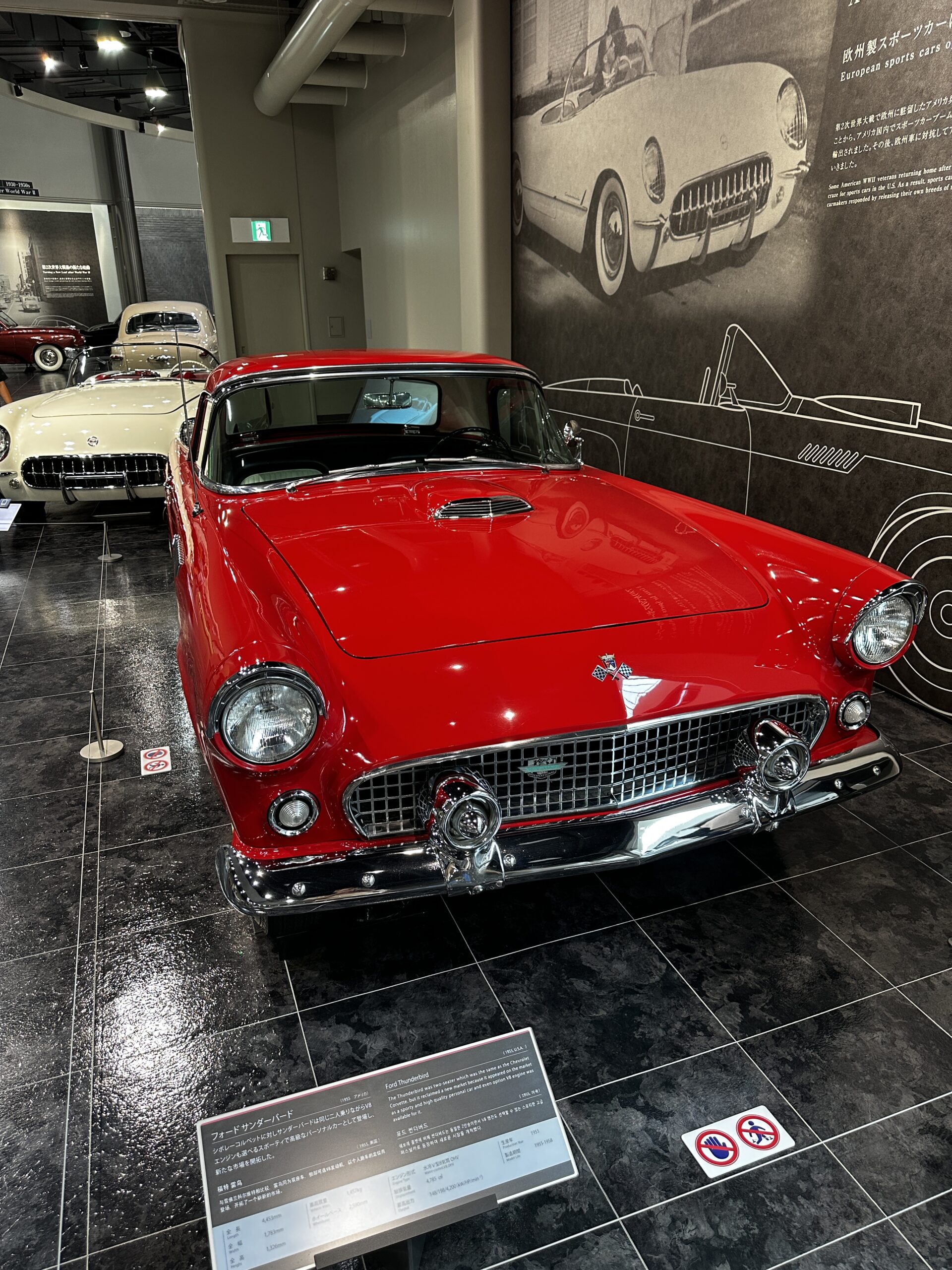 1955 Ford Thunderbird - Japanese Car Fanatic